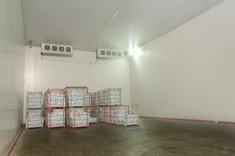 Cold Storages – PT Jakarta Sereal